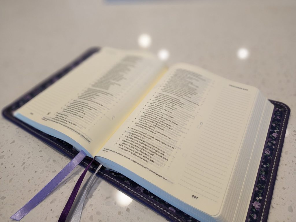 Custom Rebinding For Your Bible – Schaeffner Co. Bibles